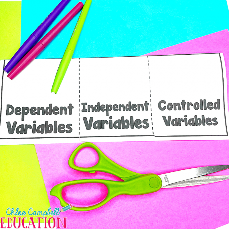 Hands On Scientific Method Activities Your Elementary Students will ...