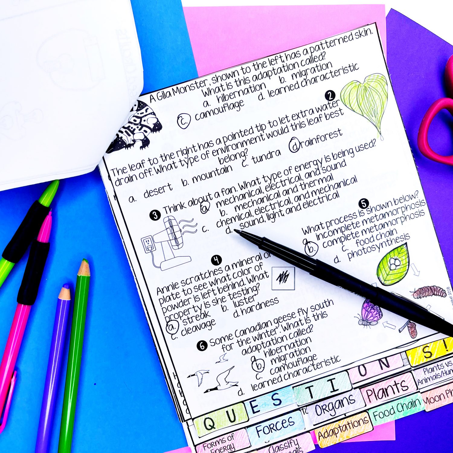 5th Grade Science Review Activities That Aren t Just Worksheets Chloe 5th-grade-science-review-activities-that-aren-t-just-worksheets-chloe