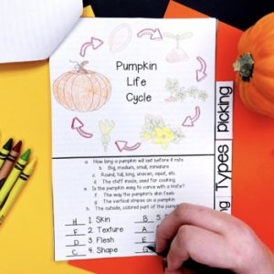 Informational Text | Pumpkin and Fall Themed Flip Book – Chloe Campbell ...