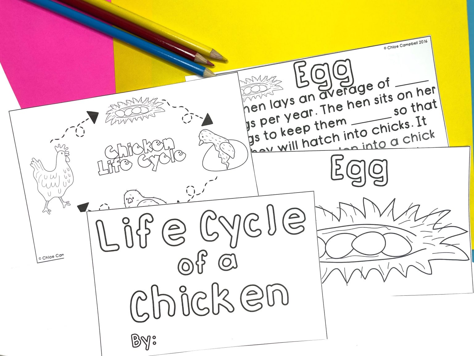 6 Engaging and Interactive Life Cycle Activities For Kids – Chloe ...