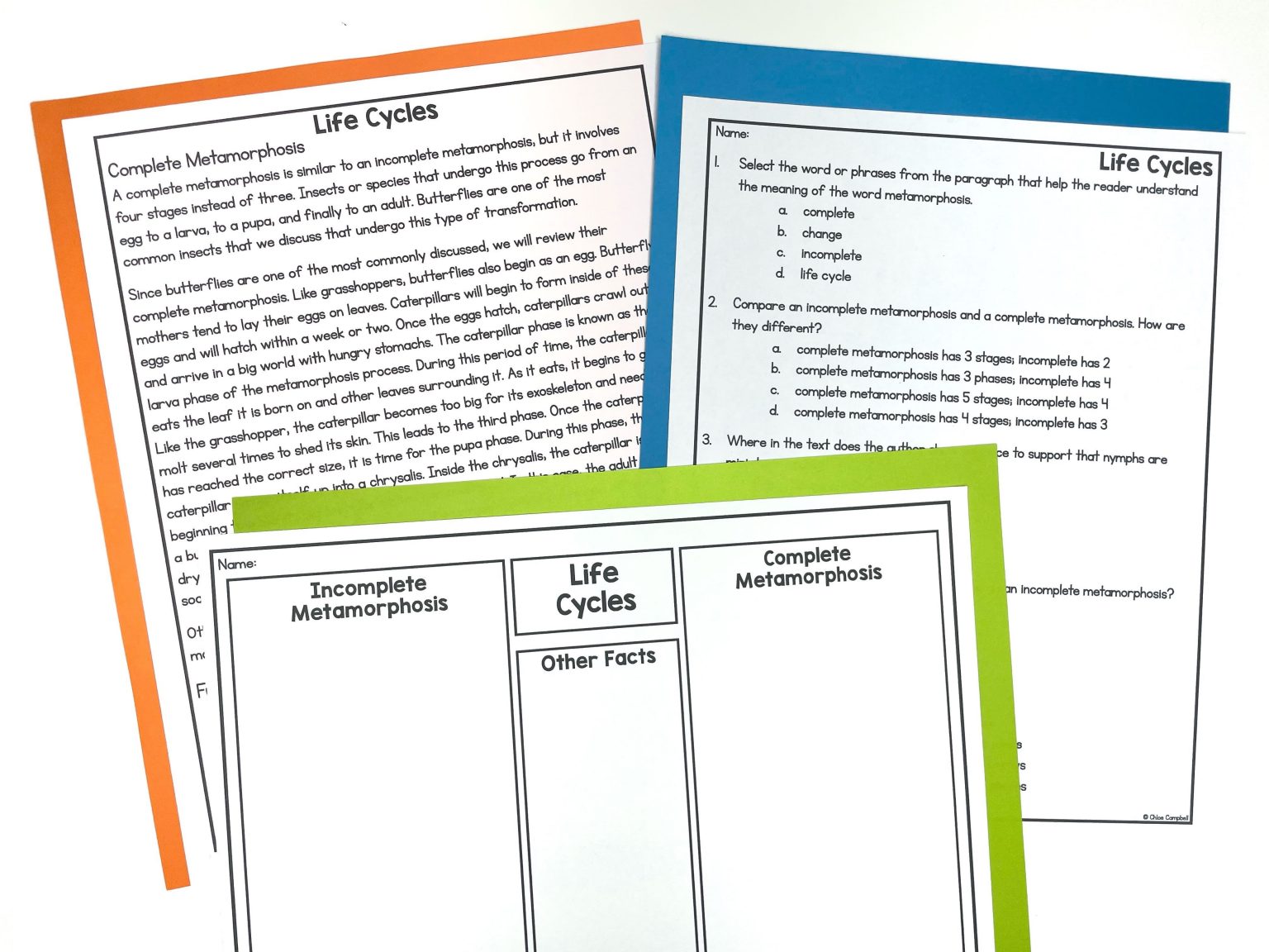 6 Engaging and Interactive Life Cycle Activities For Kids – Chloe ...