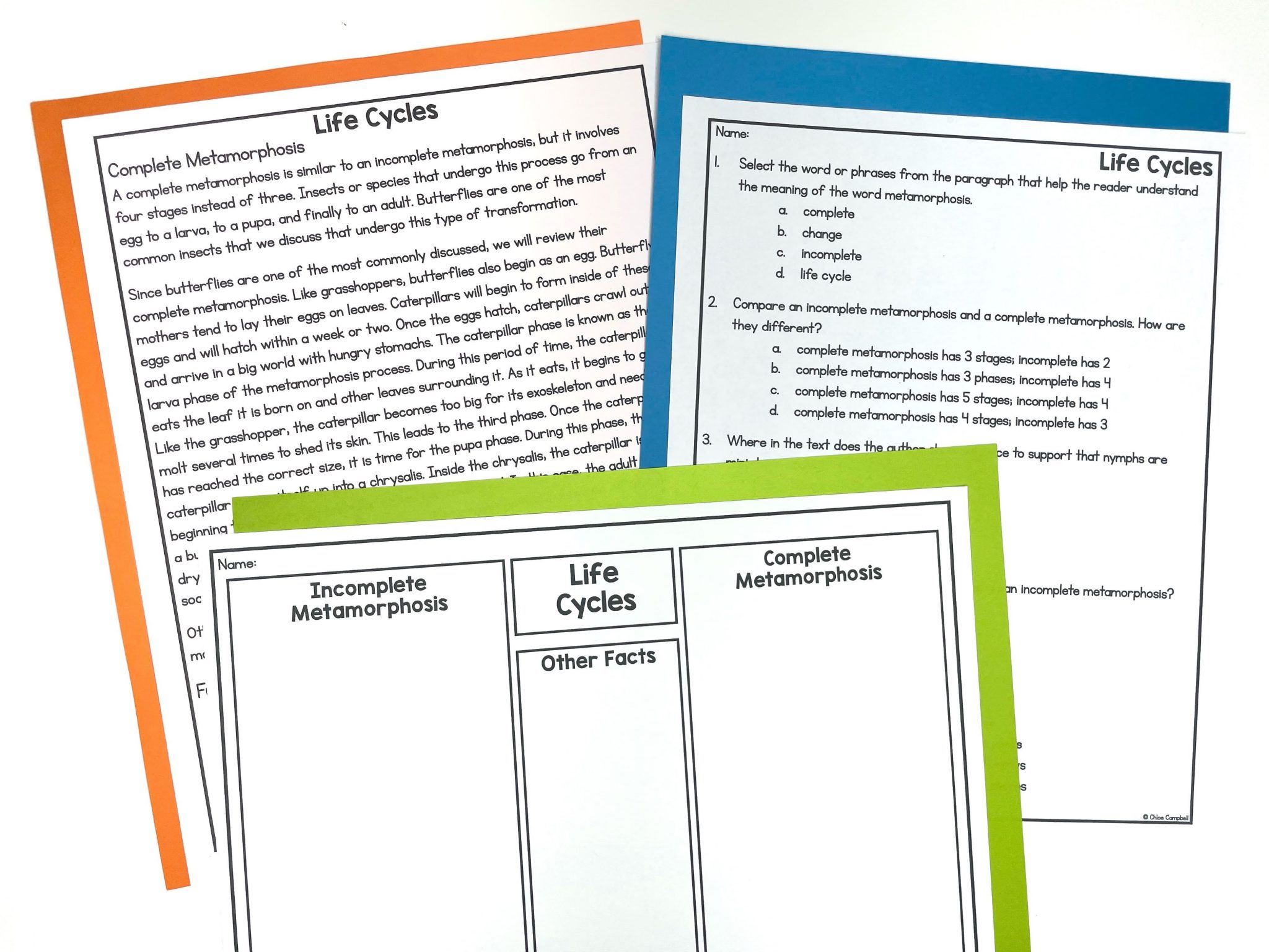 6 Engaging and Interactive Life Cycle Activities For Kids – Chloe ...