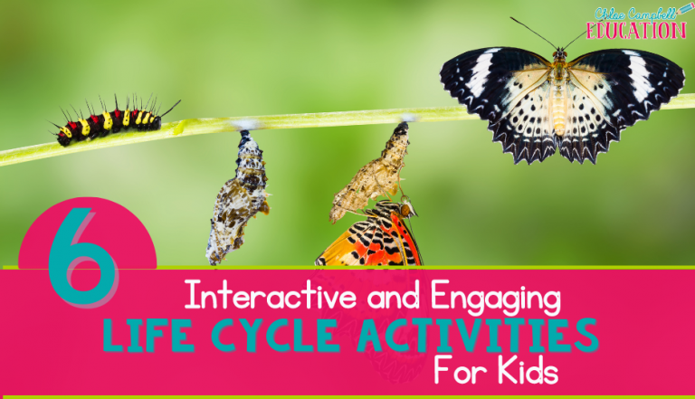 6 Engaging and Interactive Life Cycle Activities For Kids – Chloe Campbell Education