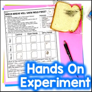 Nature of Science Lesson Control & Experimental Group Scientific Method ...