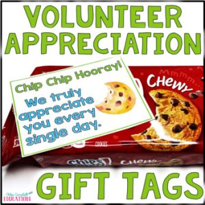 Volunteer Appreciation Gift Tags – Thank You Notes – Volunteer Thank ...