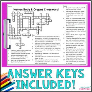 Human Body Organ Systems Worksheets & Games Body Systems Maze Crossword ...
