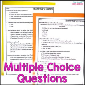 Urinary System Reading Comprehension & Questions Human Body Systems ...