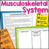 Musculoskeletal System Reading Passage & Questions Human Body Systems ...