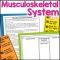 Musculoskeletal System Reading Passage & Questions Human Body Systems ...