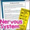 The Brain & Nervous System Reading Comprehension Passage & Questions ...
