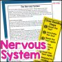 The Brain & Nervous System Reading Comprehension Passage & Questions ...