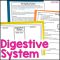Digestive System Overview Reading Comprehension & Questions Literacy in ...
