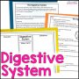 Digestive System Overview Reading Comprehension & Questions Literacy in ...