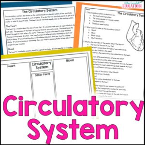 Circulatory System Human Body Informational Text Close Reading Passage ...