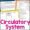 Circulatory System Human Body Informational Text Close Reading Passage ...