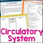 Circulatory System Human Body Informational Text Close Reading Passage ...