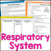 Respiratory System Reading Comprehension Passage Human Body Systems ...