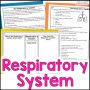 Respiratory System Reading Comprehension Passage Human Body Systems ...