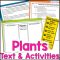 Classifying Plants Flowering & Non-Flowering Plants Reading Passage ...