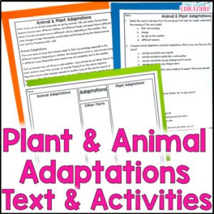 Plant & Animal Adaptations Reading Comprehension & Questions ...