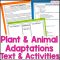 Plant & Animal Adaptations Reading Comprehension & Questions ...
