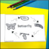 Life Cycle of a Butterfly Book Writing Activity with Informational Text ...