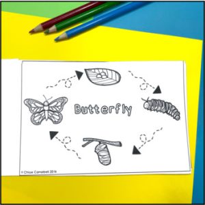 Life Cycle of a Butterfly Book Writing Activity with Informational Text ...