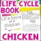 Life Cycle of a Chicken Book – Informational Text for a Chicken Life ...
