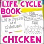 Life Cycle of a Chicken Book – Informational Text for a Chicken Life ...