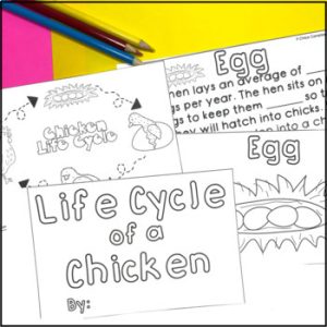Life Cycle of a Chicken Book – Informational Text for a Chicken Life ...