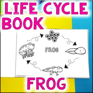 Life Cycle of a Frog Book Life Sequence of a Frog Vocabulary ...