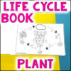 Life Cycle of a Plant Book Life Sequence of a Plant Informational Text ...