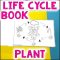Life Cycle of a Plant Book Life Sequence of a Plant Informational Text ...