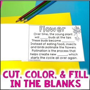 Life Cycle of a Plant Book Life Sequence of a Plant Informational Text ...