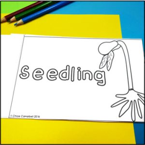 Life Cycle of a Plant Book Life Sequence of a Plant Informational Text ...