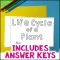 Life Cycle of a Plant Book Life Sequence of a Plant Informational Text ...