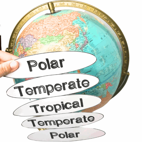 Teaching Climate Zones: Polar, Temperate, & Tropical – Chloe Campbell ...