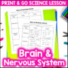 The Brain & Nervous System – Human Body Organs 5th Grade Science Lesson ...