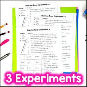 The Brain & Nervous System – Human Body Organs 5th Grade Science Lesson ...