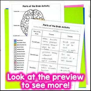 The Brain & Nervous System – Human Body Organs 5th Grade Science Lesson ...