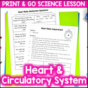 The Heart & Circulatory System Activities – Organs 5th Grade Science ...