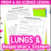 Lungs & Respiratory System Activities – Human Body Organs Science for ...
