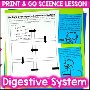 Digestive System Activities & Lesson – 5th Grade Human Body Systems ...