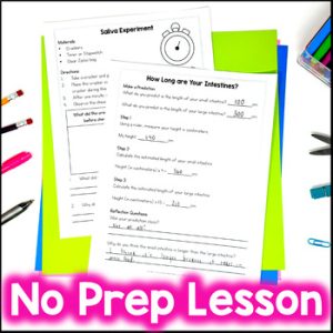 Digestive System Activities & Lesson – 5th Grade Human Body Systems ...