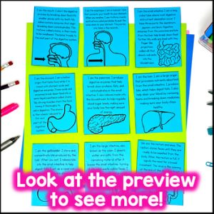 Digestive System Activities & Lesson – 5th Grade Human Body Systems ...