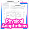Plant & Animal Physical Adaptations 5th Grade Science Lesson & Reading ...