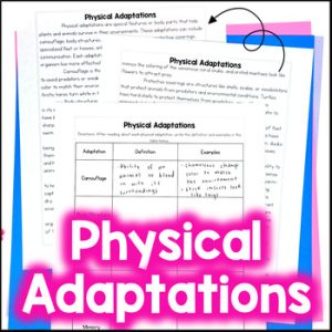 Plant & Animal Physical Adaptations 5th Grade Science Lesson & Reading ...