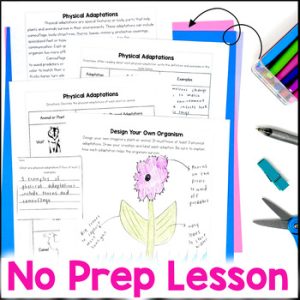 Plant & Animal Physical Adaptations 5th Grade Science Lesson & Reading ...