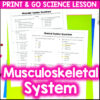 Muscular System and Skeletal System Activities – 5th Grade Human Body ...