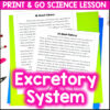 Excretory System Activities & Lesson – 5th Grade Human Body Systems ...